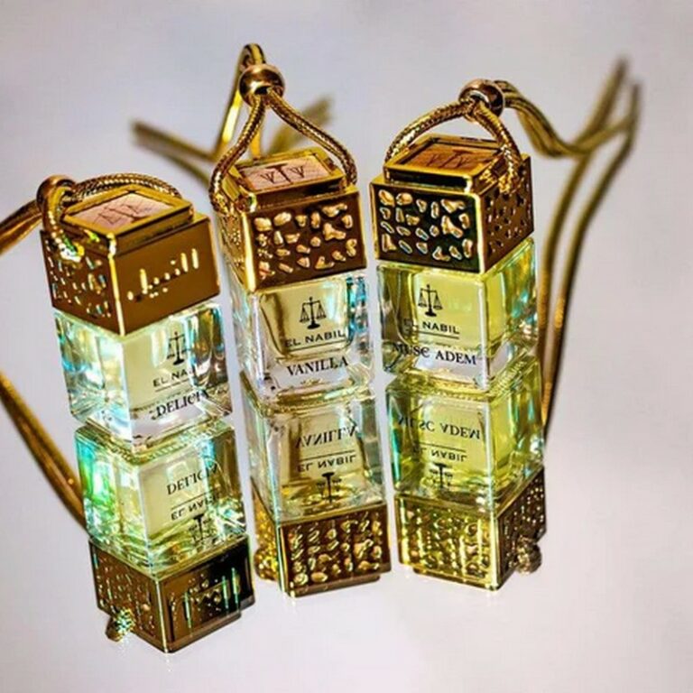 Lot de 6 (soit 4,05€ l'unité) : Parfum pour voiture à suspendre El ...